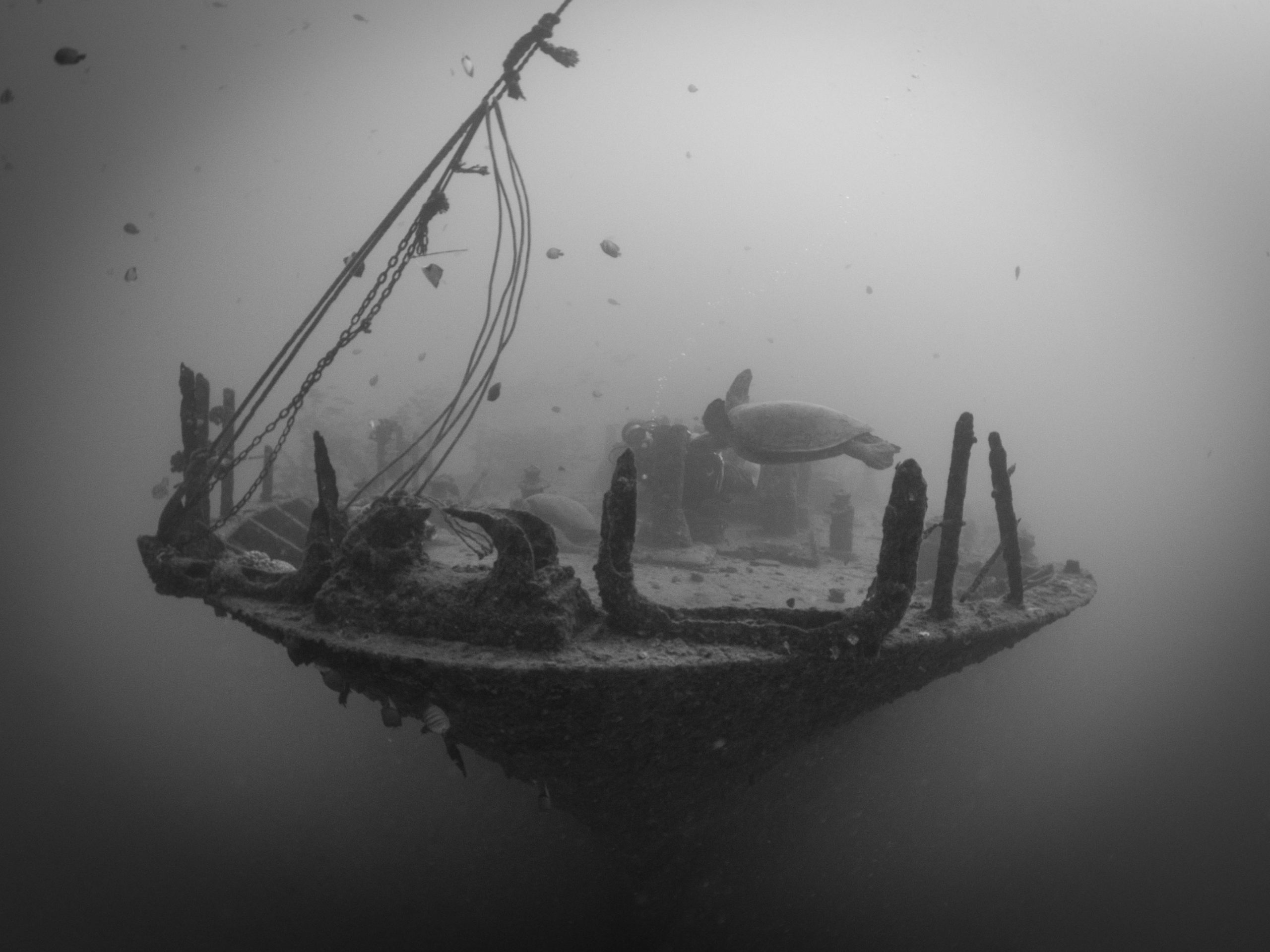 WRECK DIVING • Dive Specialty Courses • Book Now!