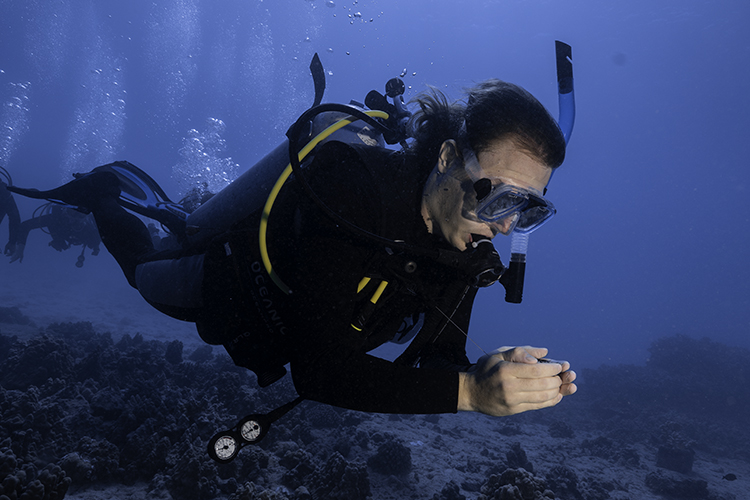 SEARCH AND RECOVERY • Dive Specialty Courses • Book Now!