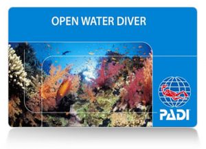 OPEN WATER DIVER • Dive Training • Hawaiian Diving Adventures