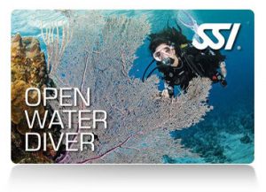 OPEN WATER DIVER • Dive Training • Hawaiian Diving Adventures